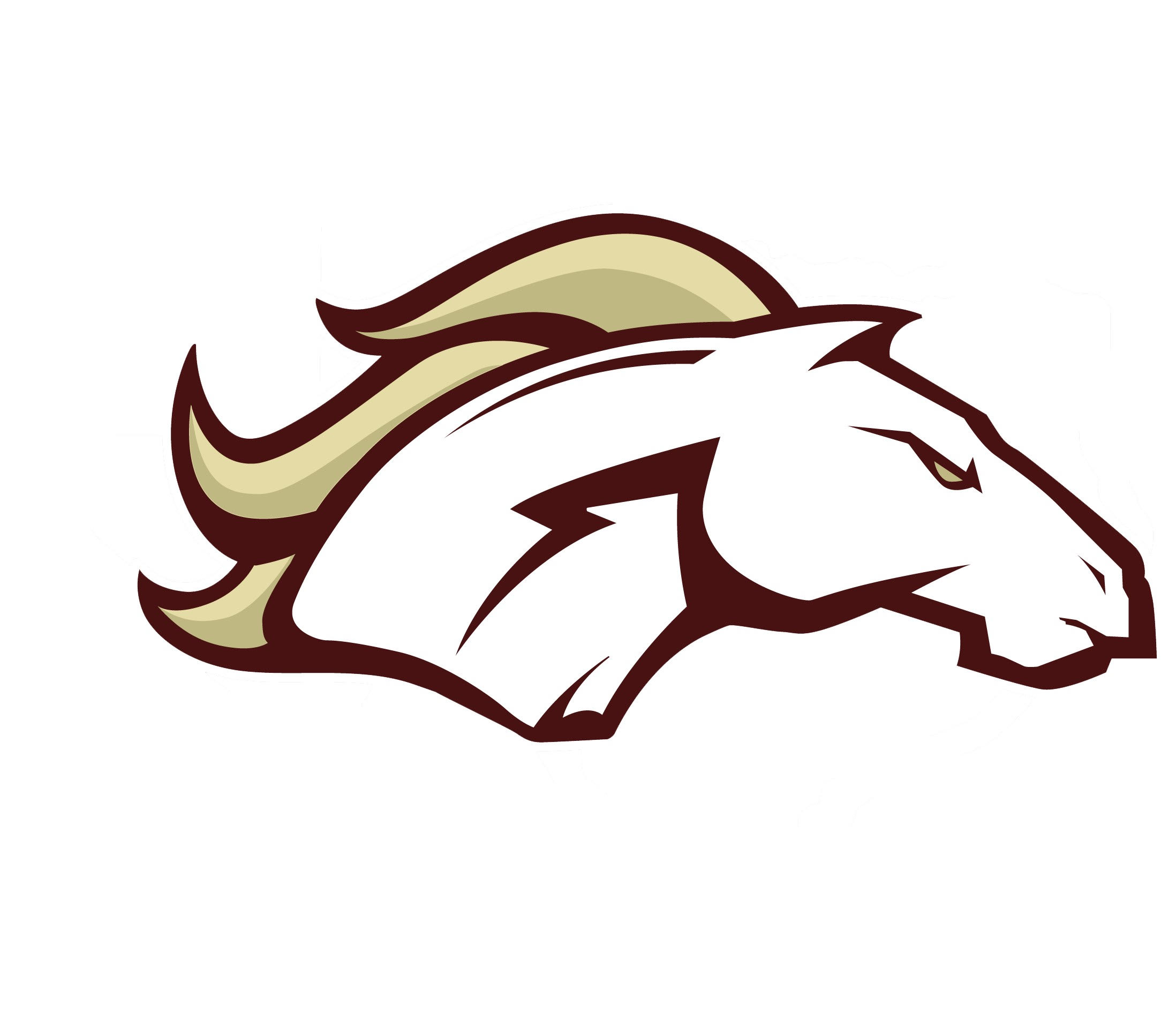 Your store. MJH Girls Strength and Conditioning Camp Incoming 7th - 8th